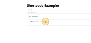 How to Use Shortcodes in WordPress: A Beginner's Guide - Gravyware's Blog